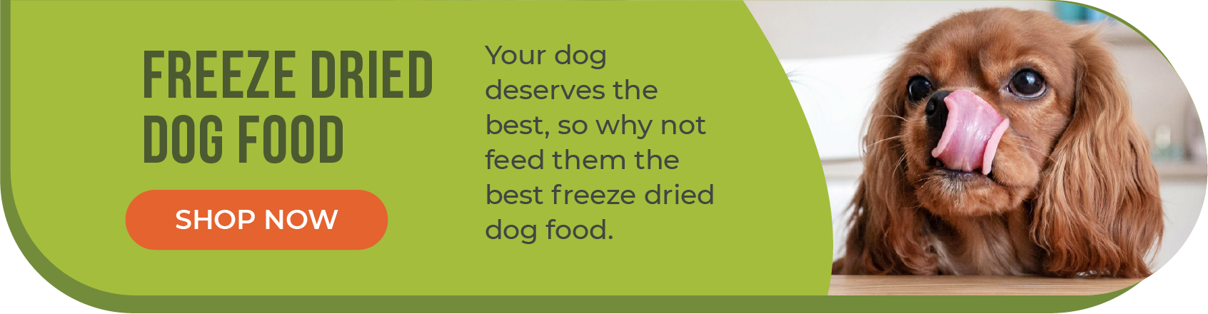 What Macros Do Dogs Need